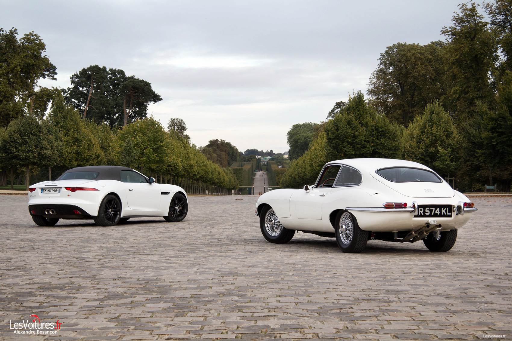 Jaguar F-TYPE : déjà dans l'histoire, le roadster rencontre la ...