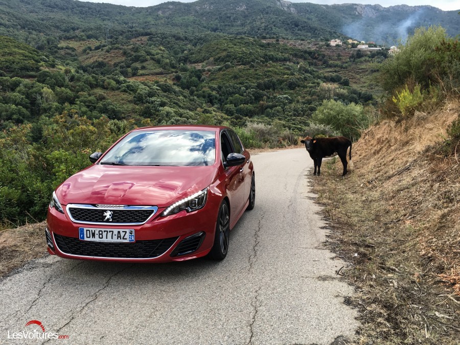 Peugeot 308 GTi by Peugeot Sport : l'essai extrême sur les Spéciales du ...