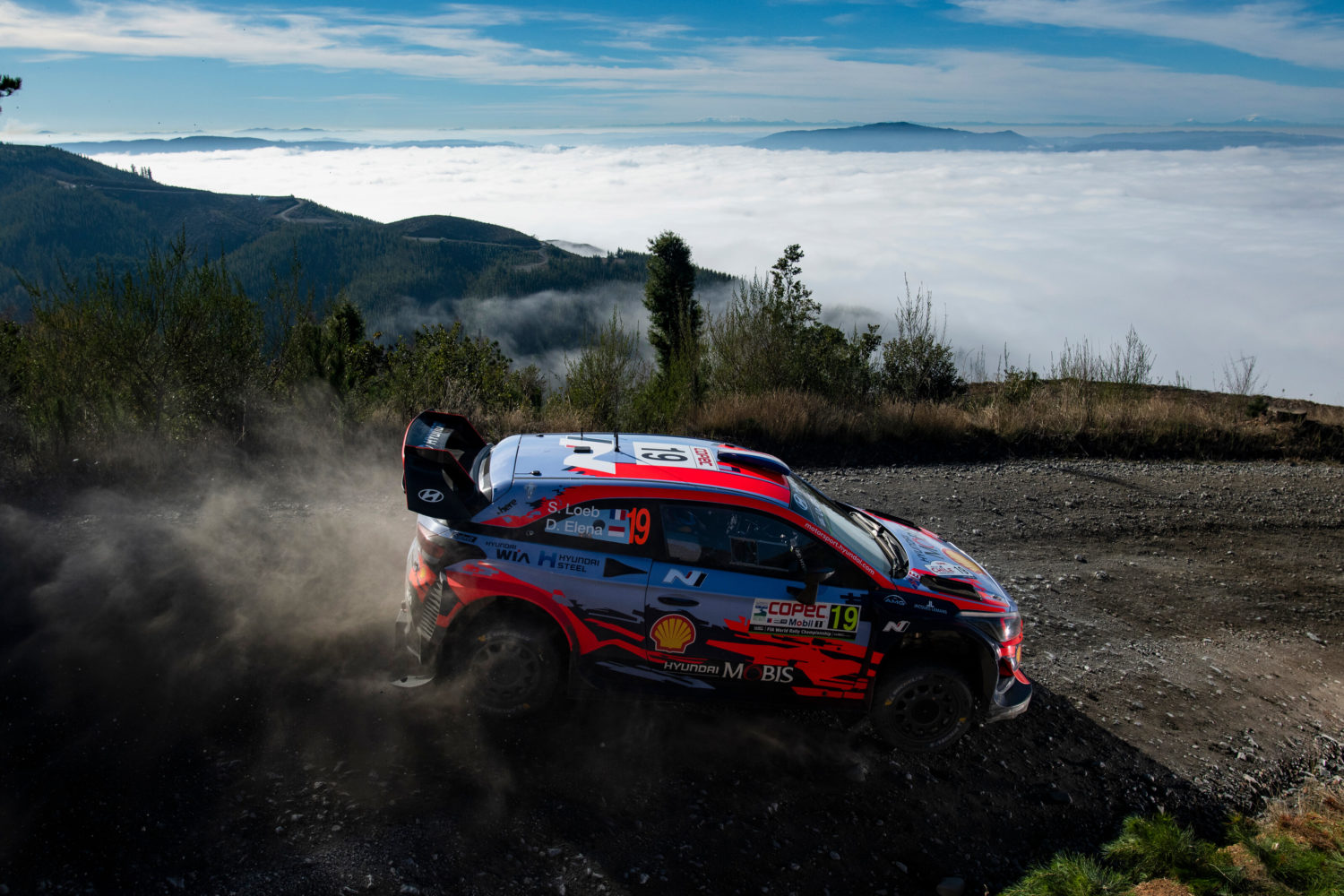 WRC - Chili : Ott Tänak impressionant vainqueur - Les Voitures