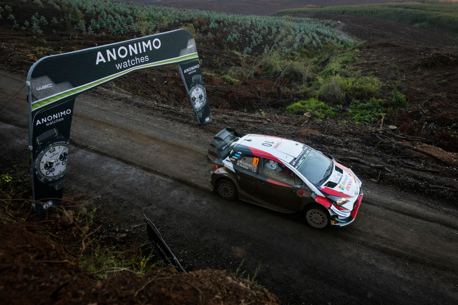 WRC - Chili : Ott Tänak impressionant vainqueur - Les Voitures