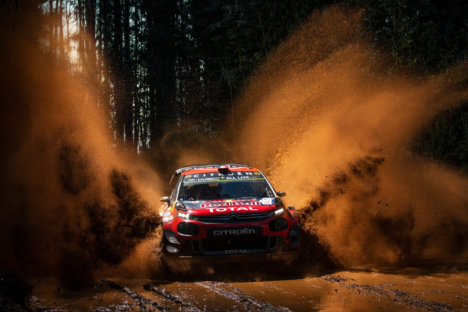 WRC - Chili : Ott Tänak impressionant vainqueur - Les Voitures