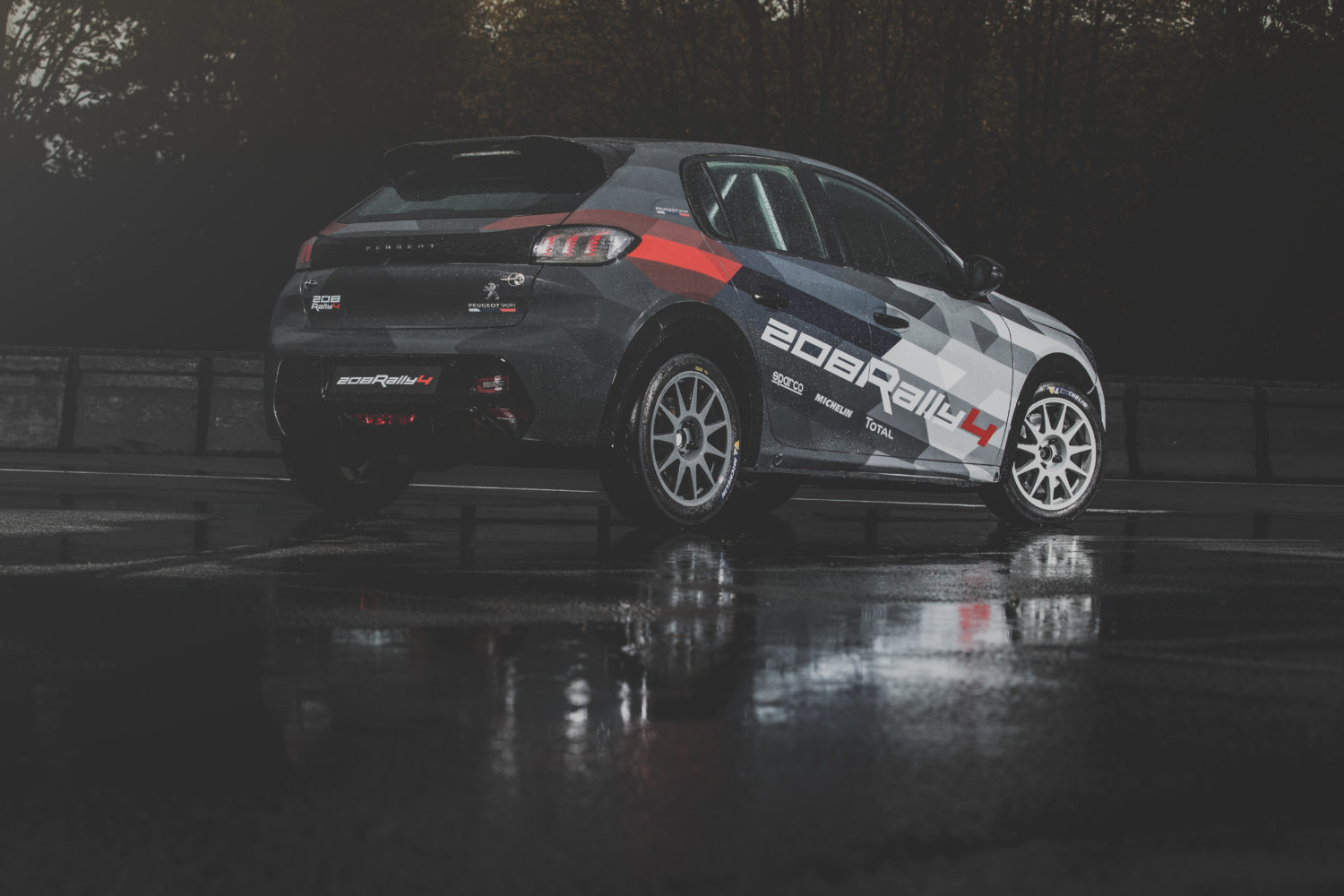 Peugeot 208 Rally 4 : sur les pistes en 2020 - Les Voitures